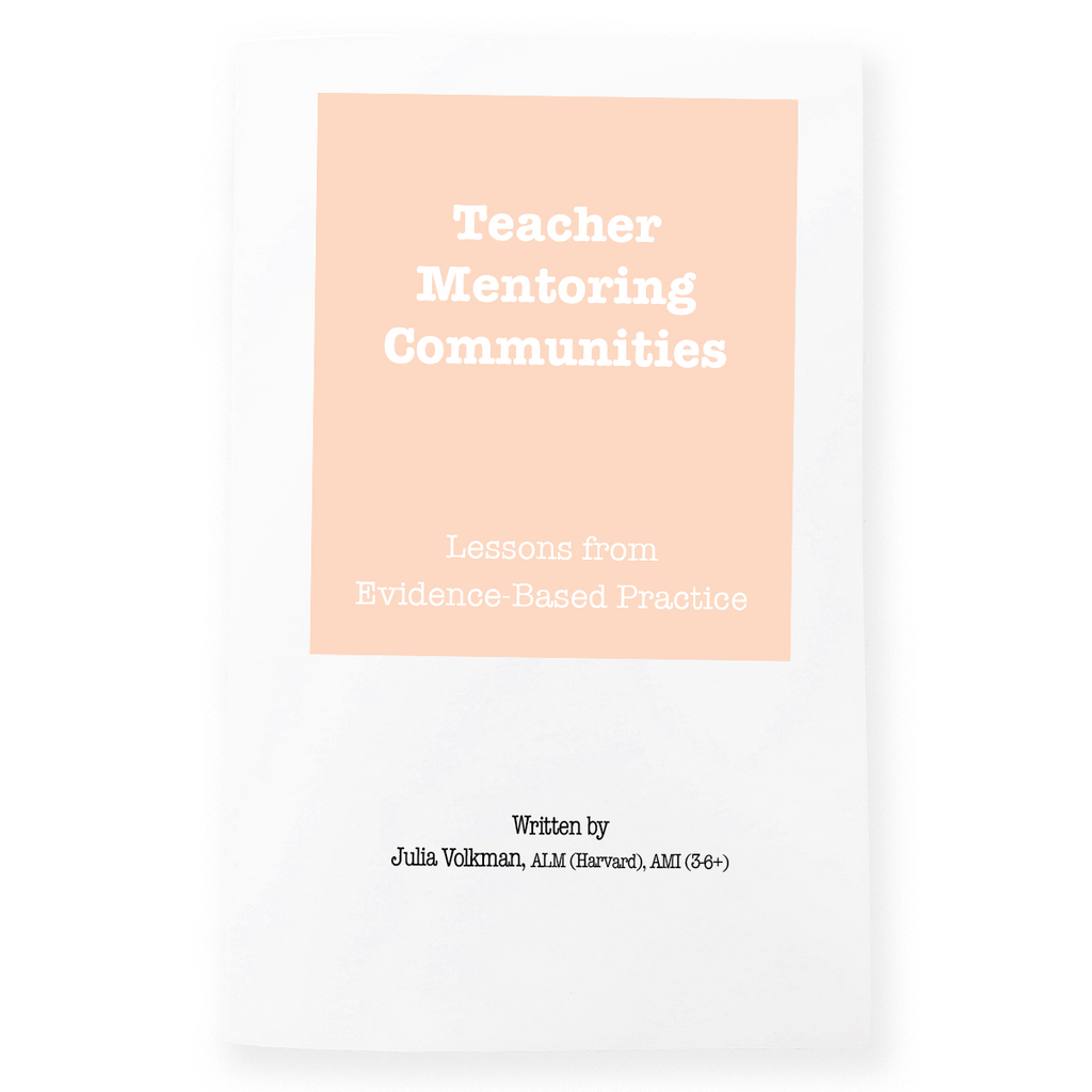 Teacher Mentoring Communities – Maitri Learning