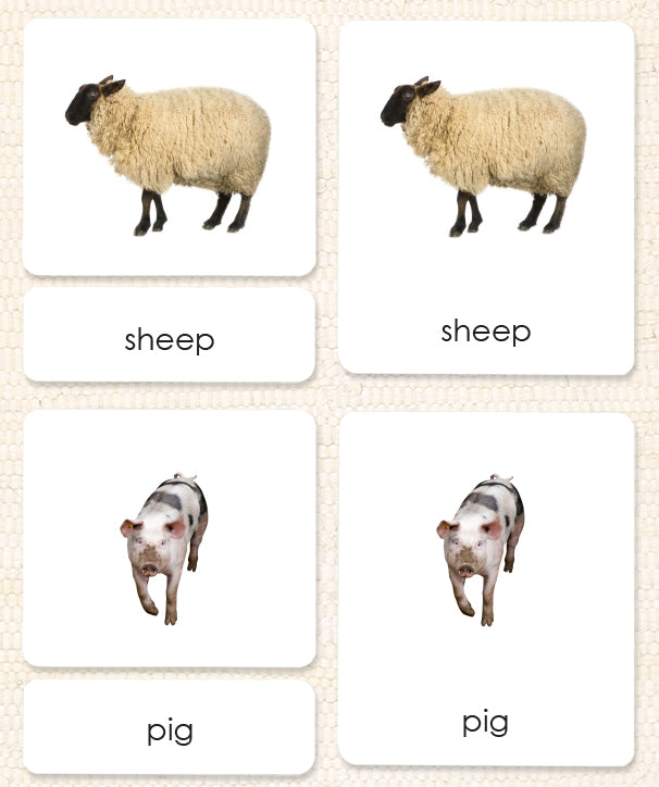 Farm Animals Montessori 3-Part Cards – Maitri Learning