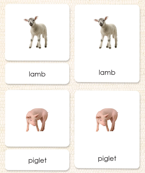 Farm Animals Montessori 3-Part Cards – Maitri Learning