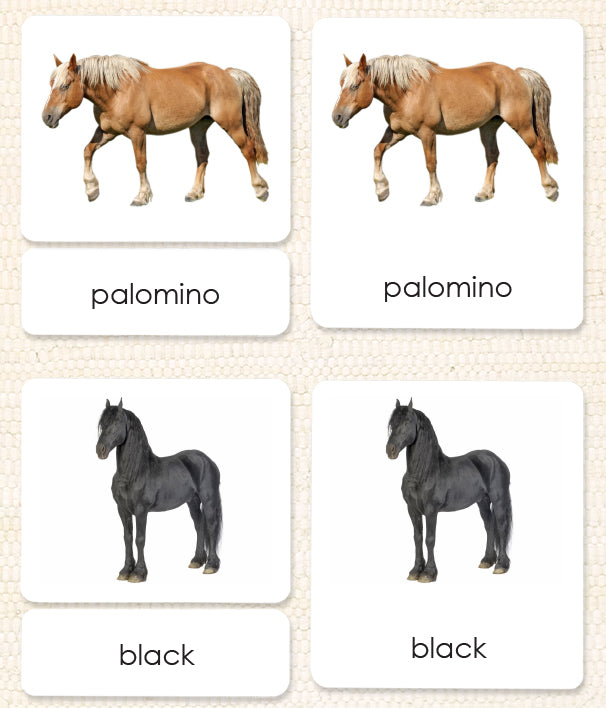 Horses Montessori 3-Part Cards – Maitri Learning