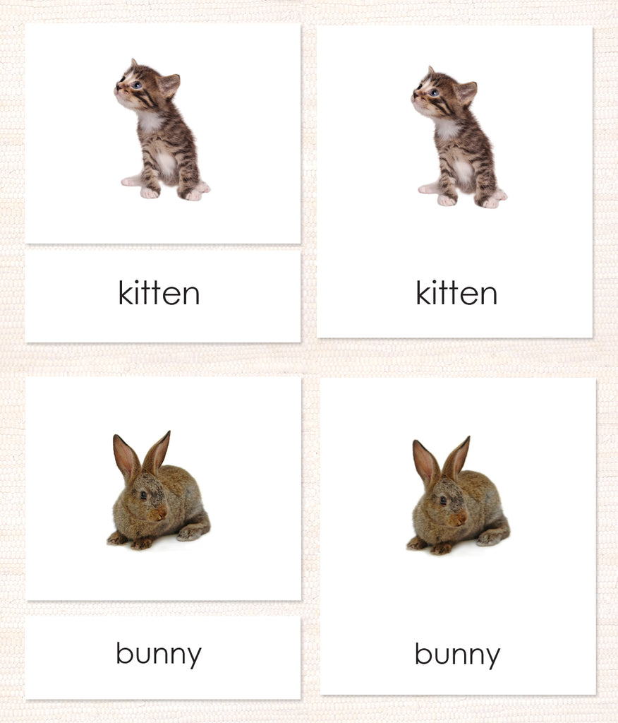 Pets Montessori 3-Part Cards – Maitri Learning