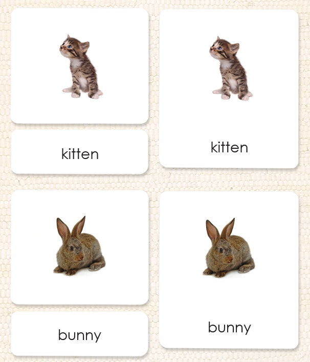 Pets Montessori 3-Part Cards – Maitri Learning