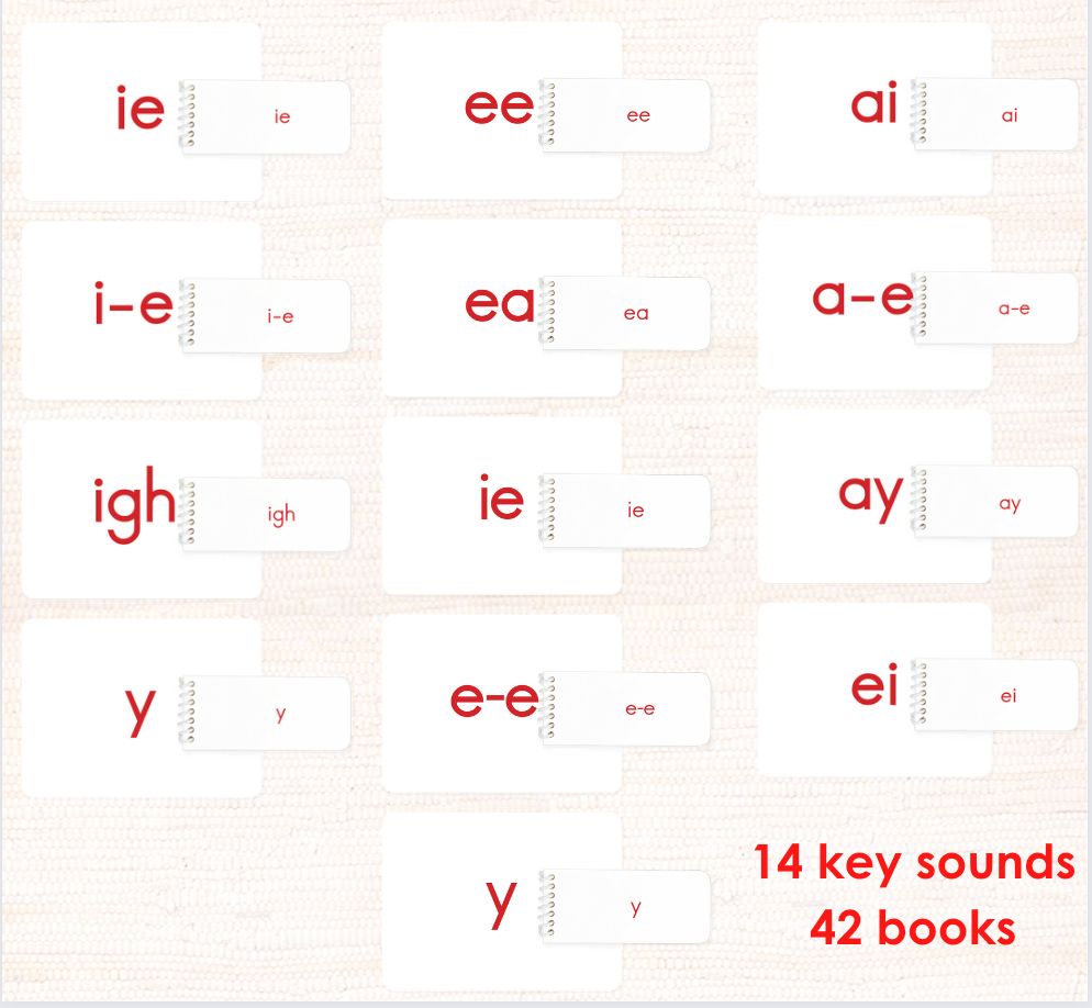 Phonogram Spelling Folder Set