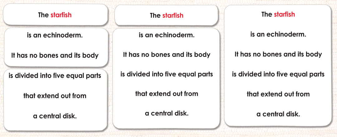Montessori Starfish Definition Cards