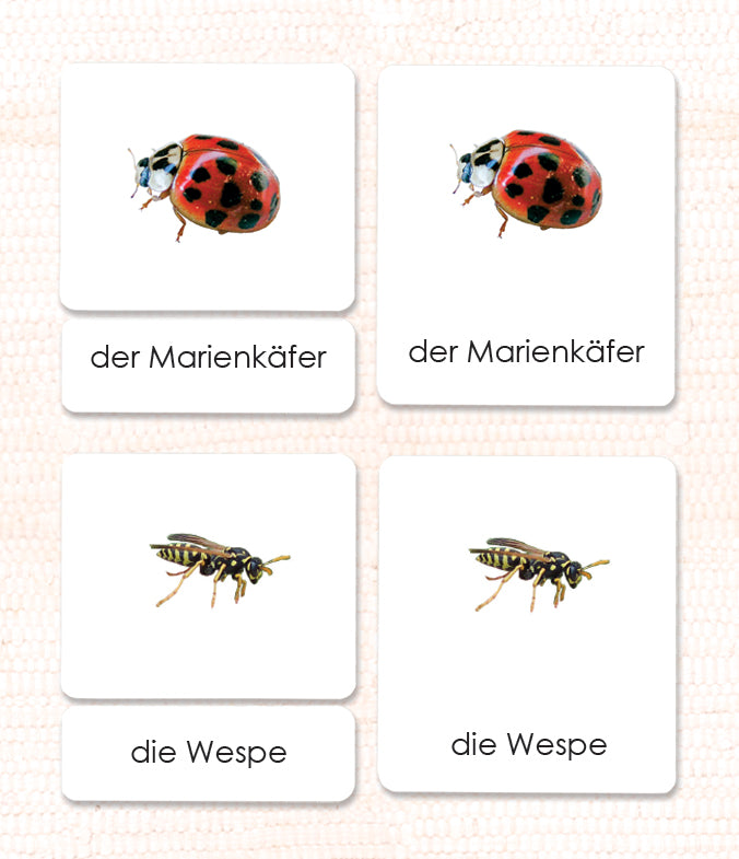 German Insects Montessori Zoology Cards