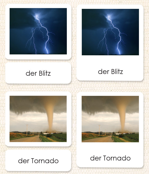 German Weather Montessori 3-Part Cards