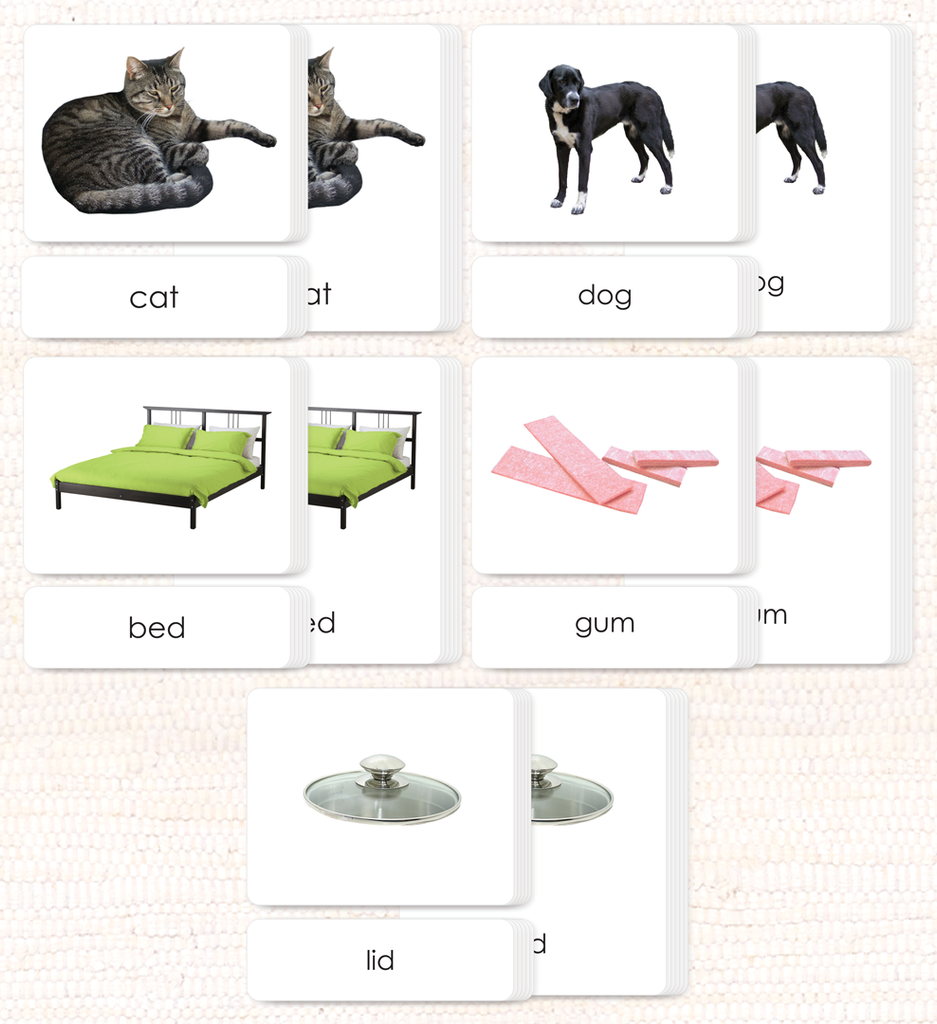 Phonetic Montessori Cards: Simplest Words (level 1) – Maitri Learning