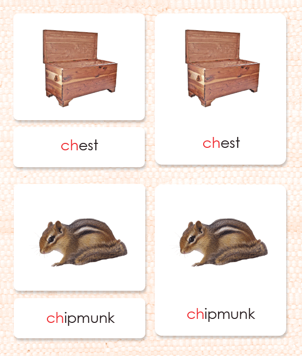 Montessori Phonogram 3-Part Reading Cards – Maitri Learning