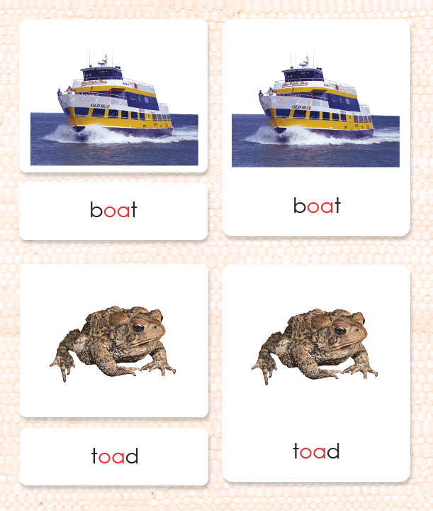 Montessori Phonogram 3-Part Reading Cards