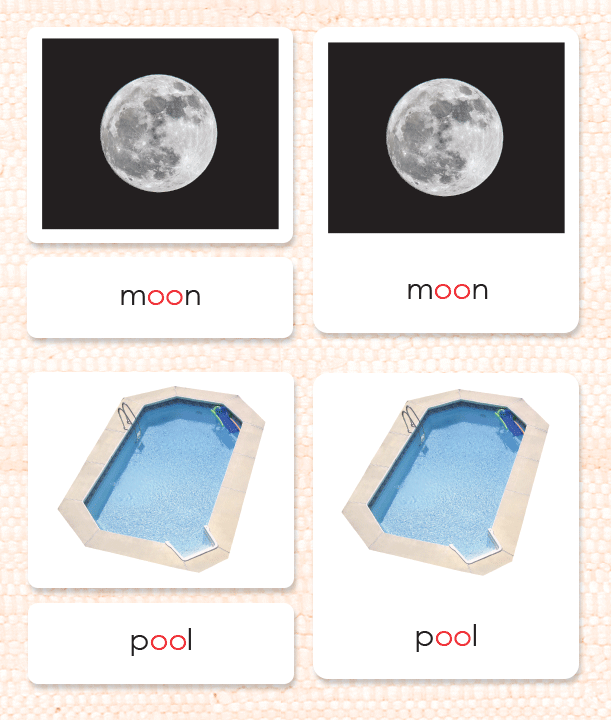 Montessori Phonogram 3-Part Reading Cards – Maitri Learning