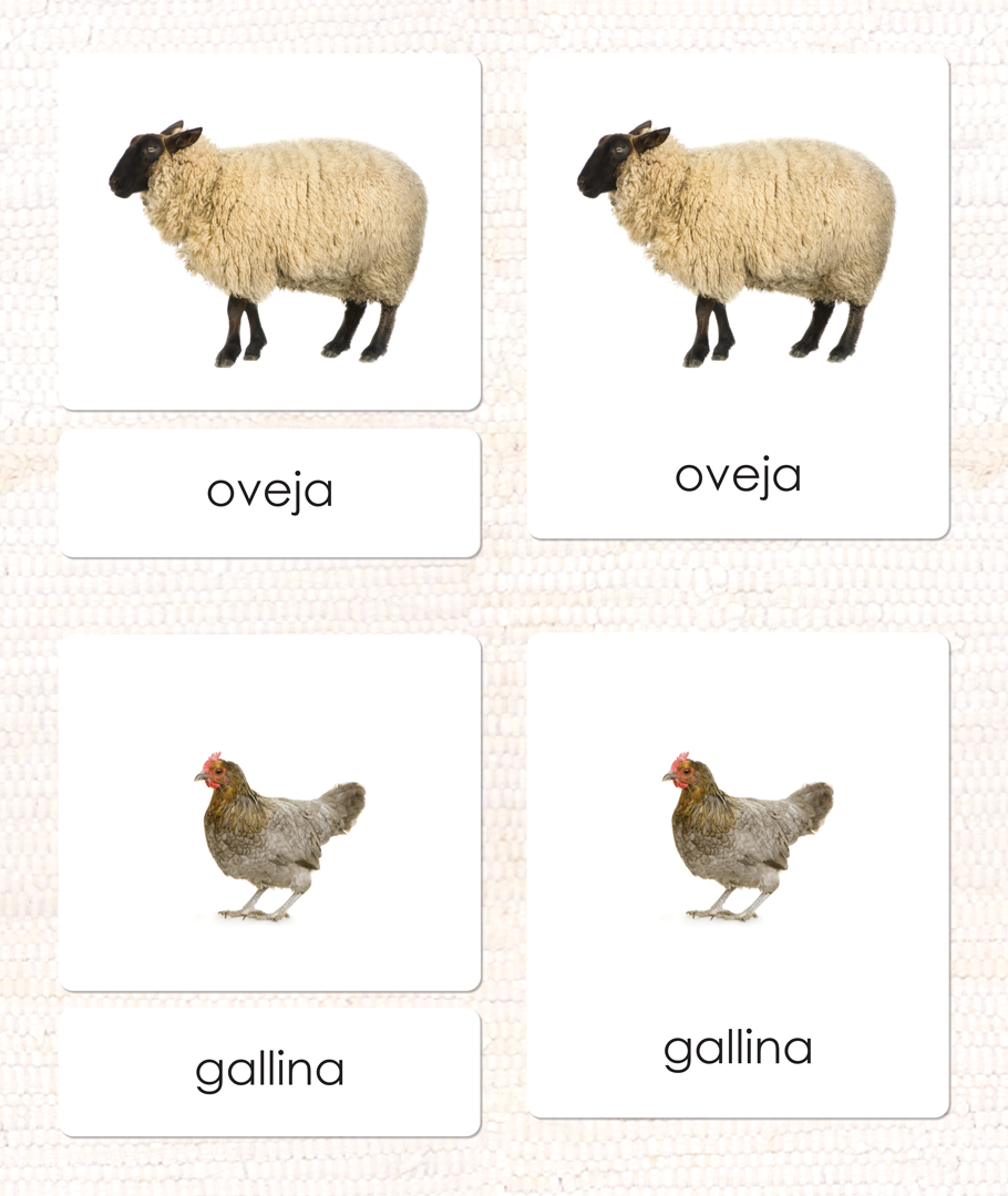 Farm Animals Montessori 3-Part Cards