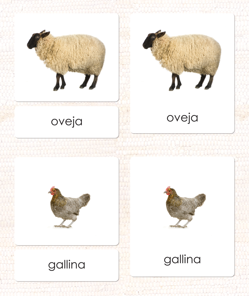 Farm Animals Montessori 3-Part Cards – Maitri Learning