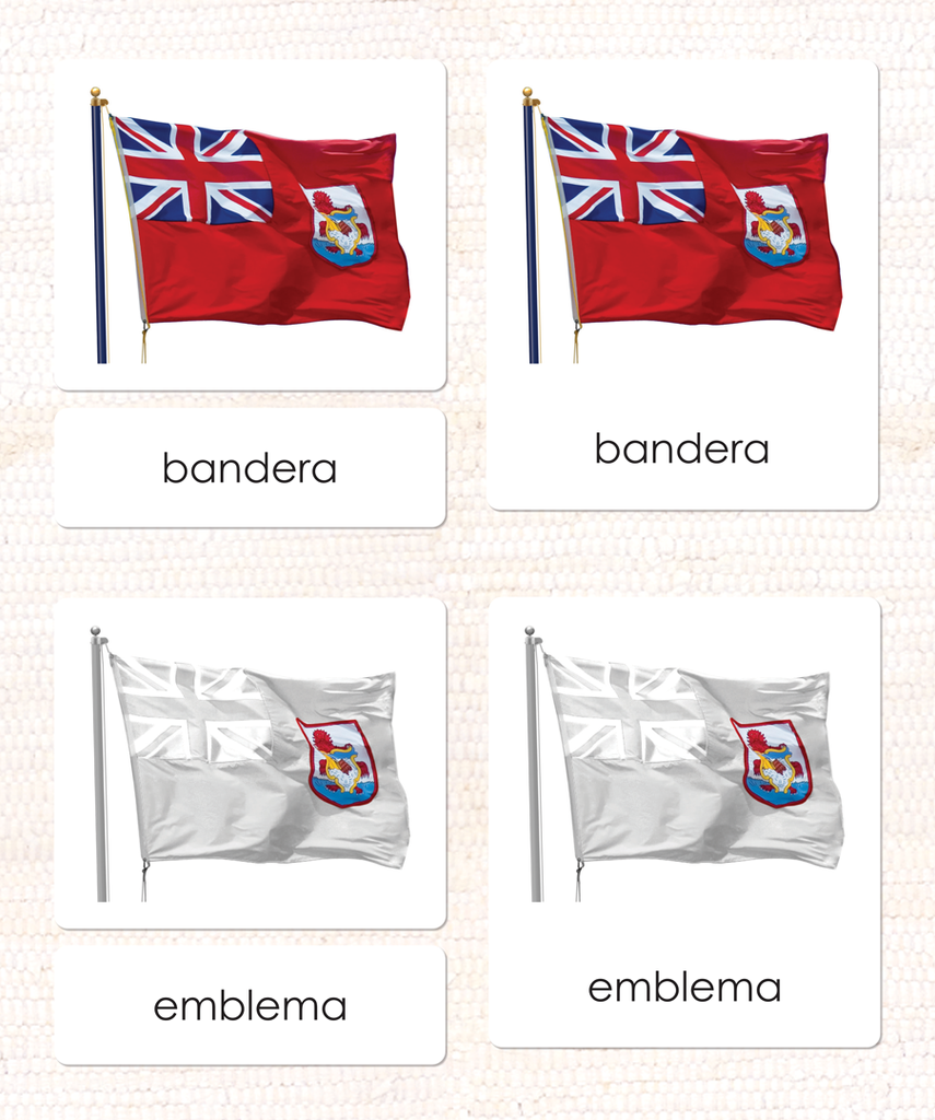 Montessori "Parts of" the Flag Reading Classification Cards – Maitri ...