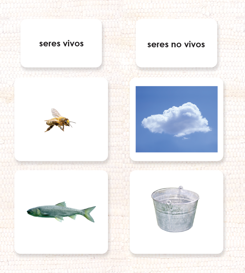 Spanish Living/Non-Living Sorting