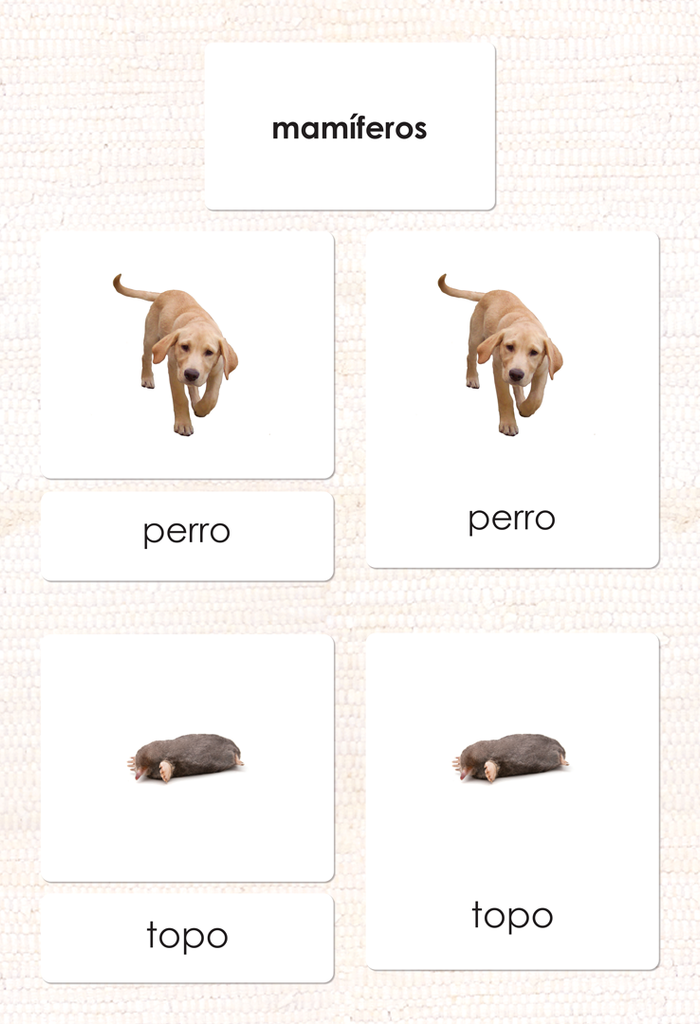Mammals Montessori Cards/Mamíferos Materiales Montessori – Maitri Learning