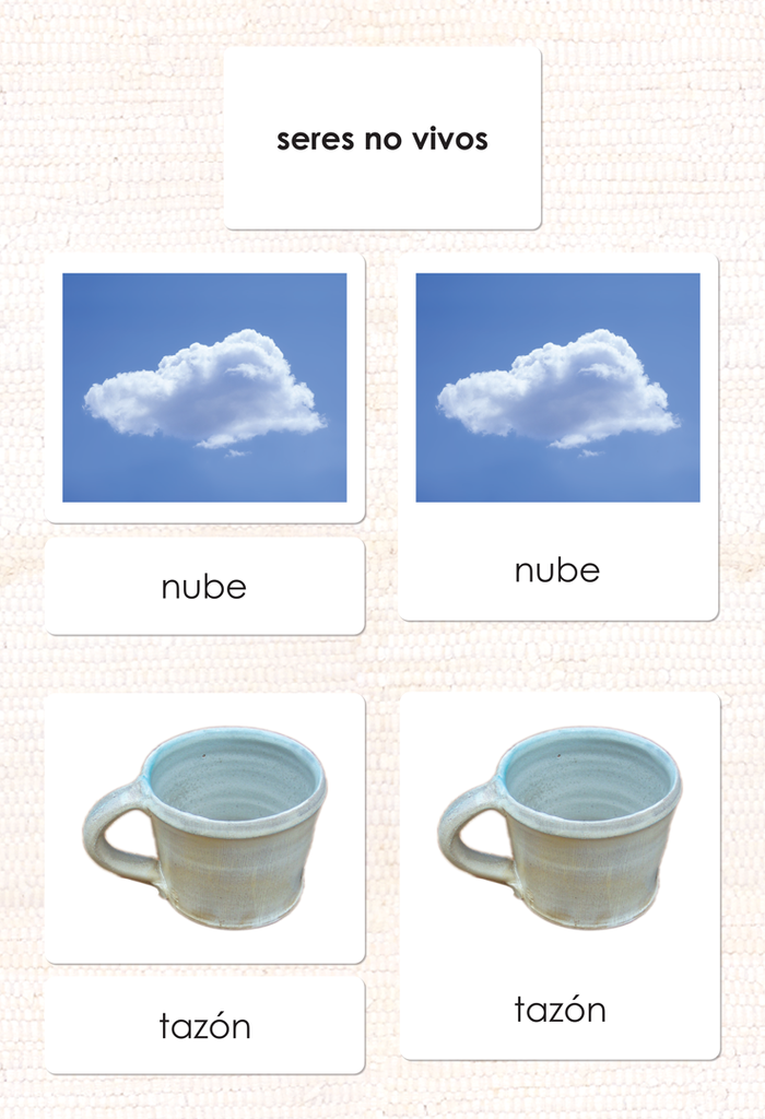 Non-Living Zoology Cards/Seres no Vivos Materiales Montessori – Maitri ...