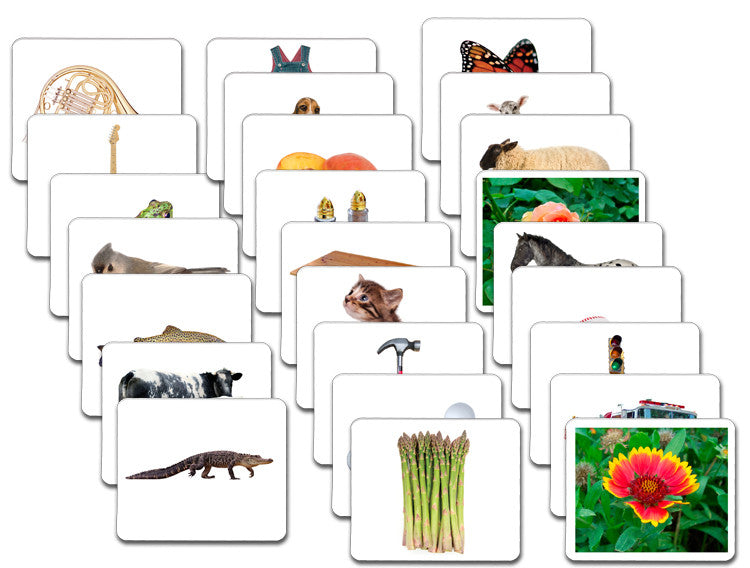 Montessori Basic Vocabulary Card Set – Maitri Learning