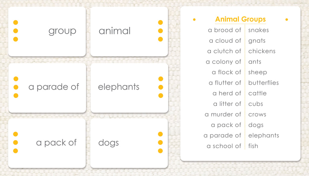Animal Groups: Montessori Related Noun Word Study – Maitri Learning