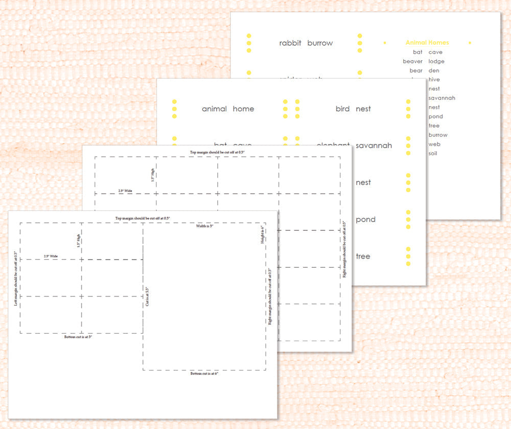 Word Study: Animal Homes Digital – Maitri Learning