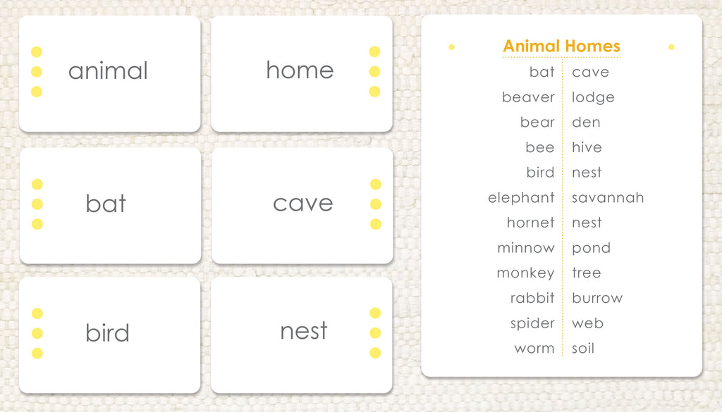 Animal Homes – Maitri Learning