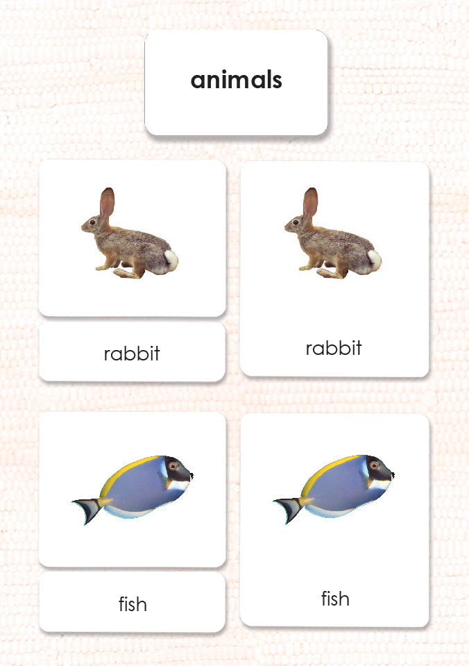 Animal Kingdom Montessori Zoology Cards