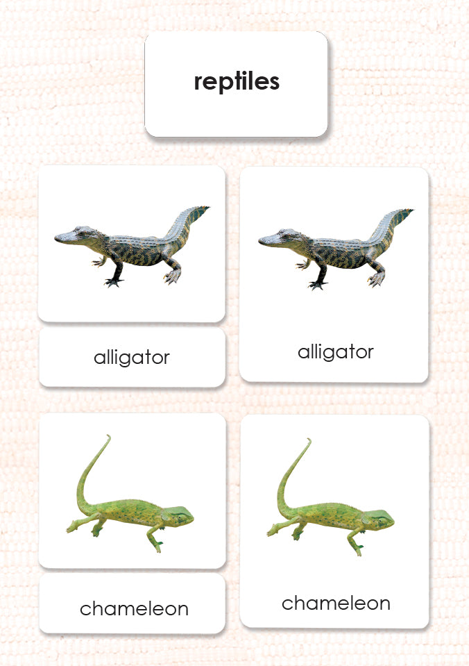 Reptiles Montessori Zoology Cards – Maitri Learning