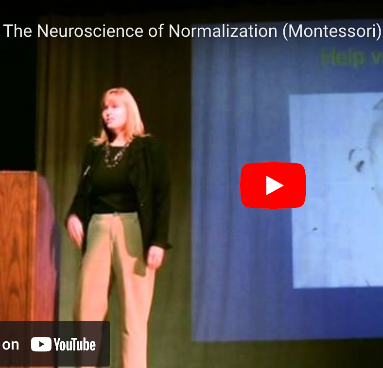 The Neuroscience of Normalization