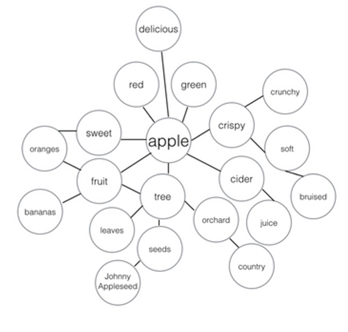 Word Webs & Reading Circuits: Going Deep with Spoken Language Lessons