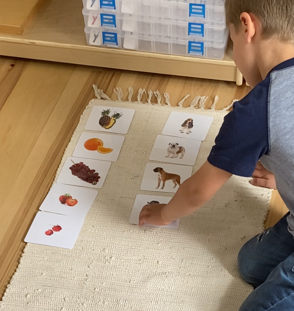 What are the best sorting games?