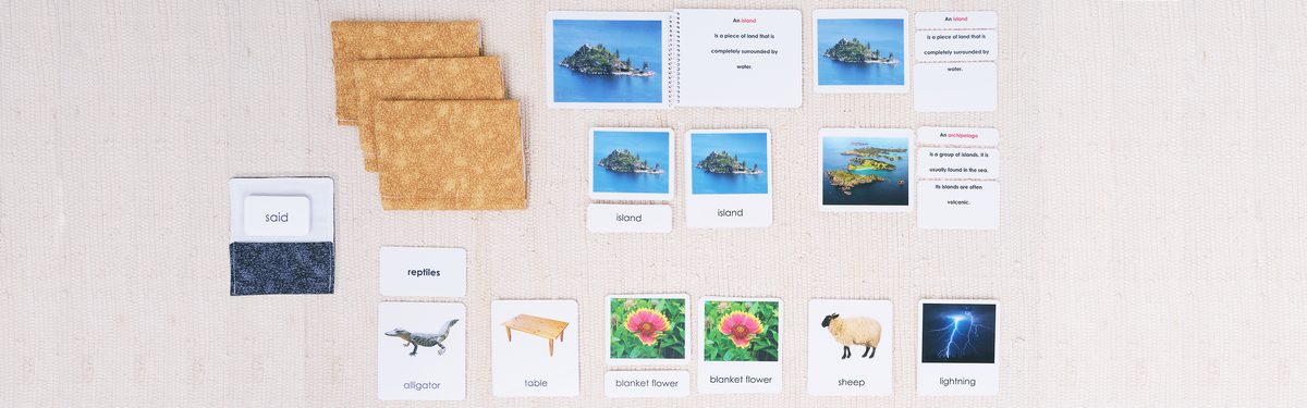 Catalog & Products
