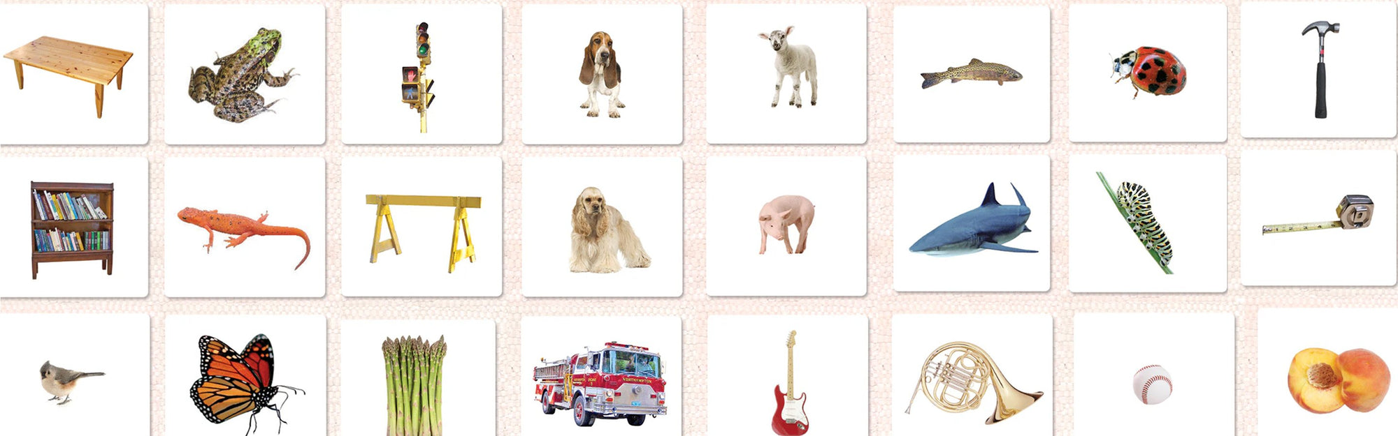 Montessori Vocabulary Cards
