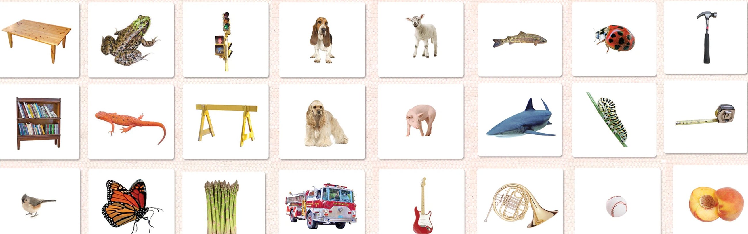 Montessori Vocabulary Cards