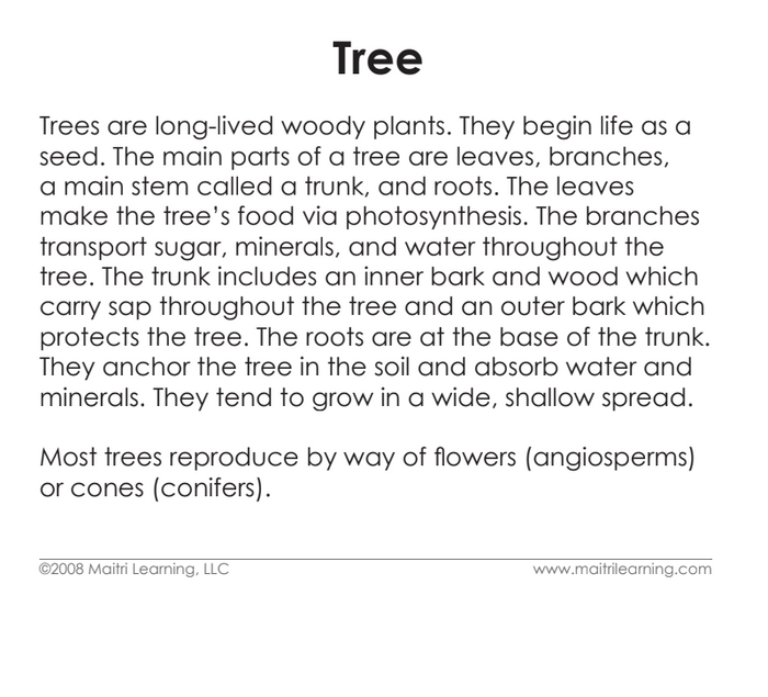 Montessori Tree Definition Cards