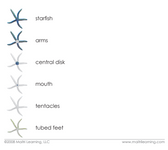 Parts of the Sea Star (Starfish) Book & Card Set
