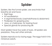 Montessori Spider Definition Cards