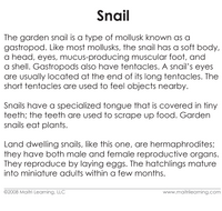 Montessori Snail Definition Cards