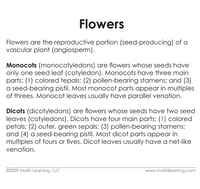 Montessori Flower Definition Cards