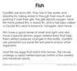 Parts of the Fish Definitions