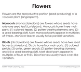 Parts of the Flower (Dicot) Book