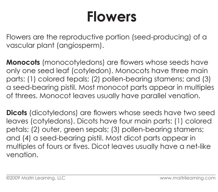 Montessori "Parts of" the Flower Reading Classification Cards