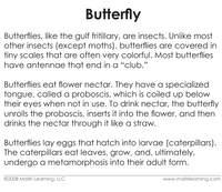 Montessori "Parts of" the Butterfly Reading Classification Cards