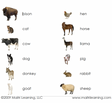 Farm Animals Montessori Vocabulary Cards
