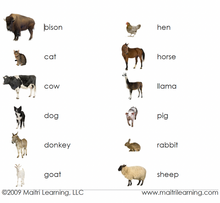 Farm Animals Montessori Vocabulary Cards