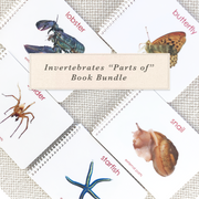 Invertebrates "Parts of" Book Bundle Sale price $69.95 USD Regular ...