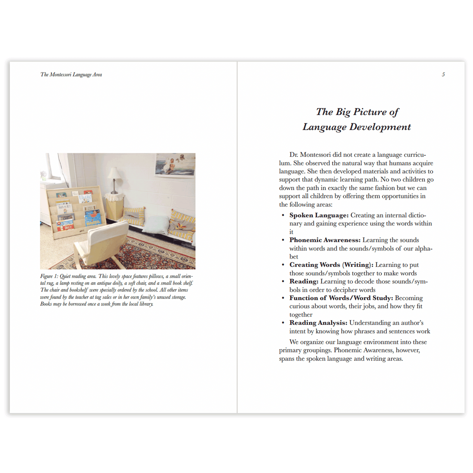 Setting up the Language Area (Paperback)