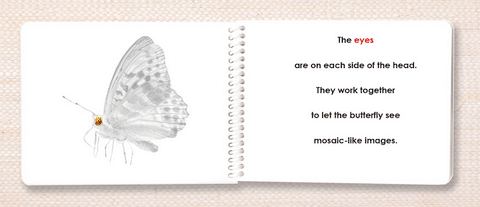 Montessori Invertebrate Anatomy Book Set – Maitri Learning