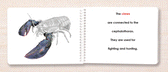 Montessori Invertebrate Anatomy Book Set
