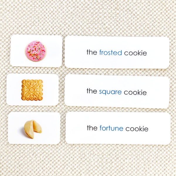 Grammar Step 2: Adjective 1