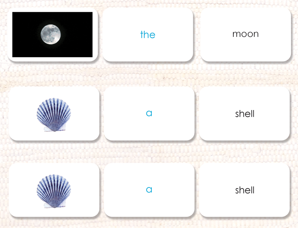 Montessori Grammar/Montessori Function of Words Cards
