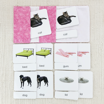 Phonetic Level 1 Set: Simplest Phonetic Words Sale price From $69.95 ...